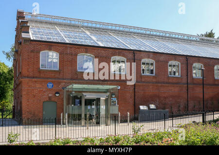 Tropical Ravine, Botanic Gardens, Belfast Stock Photo - Alamy