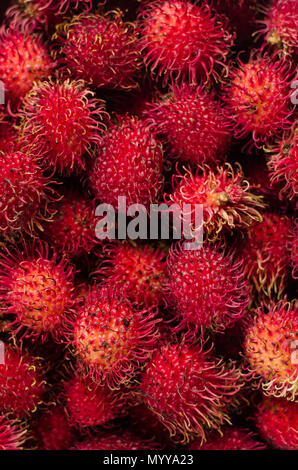 Vibrant red rambutan fruits with spiky skin arranged on weathered wood ...