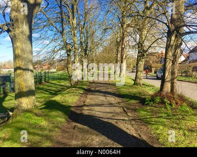 Steventon, Oxfordshire, UK. 24th February, 2016. UK Weather: Sunny and ...