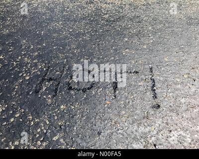 Tuesley Ln, Godalming, UK. 21st June, 2017. UK Weather: Heatwave in ...