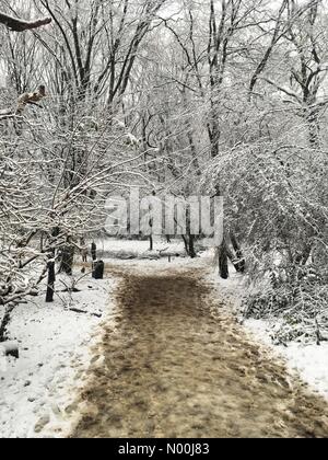 Highgate wood in the snow on December 10 2017 Stock Photo - Alamy