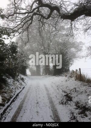 York, UK. 29th Dec, 2017. Snow in North Yorkshire Credit: PennPix/Matt ...