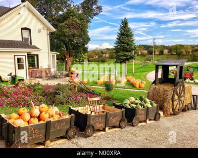 Nook House Farm, Farmhouse in the Mist, Danby Dale, North York Moors ...