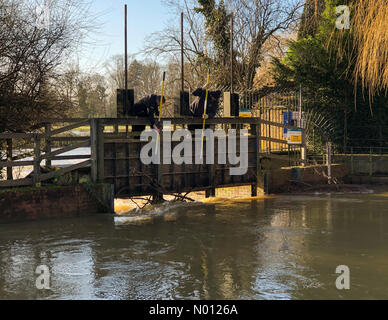 workers in the Environment Agency flood alert office England UK Stock ...