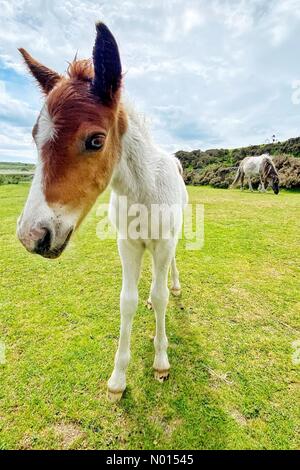 Dartmoor, Devon. 17th June 2021. UK Weather: Warm slightly overcast ...