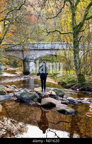 Dunsford, Devon, UK. 13th Nov 2021. UK Weather: Mild calm colourful ...