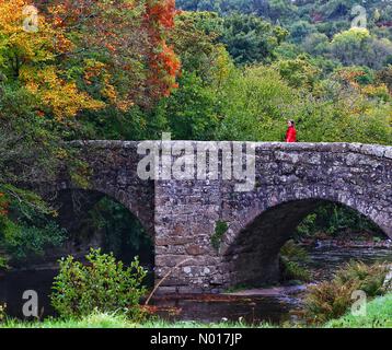 UK Weather: Raich Keene embracing The Fall as Autumn closes in at Spara ...