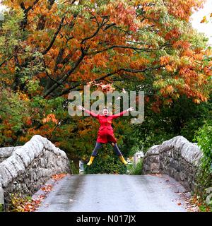 UK Weather: Raich Keene embracing The Fall as Autumn closes in at Spara ...