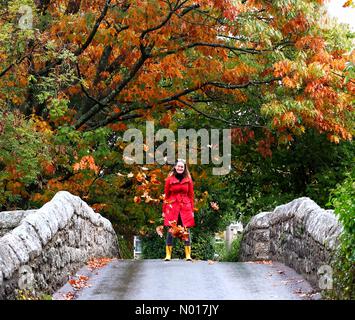 UK Weather: Raich Keene embracing The Fall as Autumn closes in at Spara ...