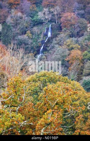 Chudleigh, South Devon, England. 9 Nov 2023. Autumnal Canonteign ...