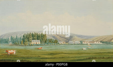 Tapanui Homestead by Samuel Edwy Green Stock Photo - Alamy