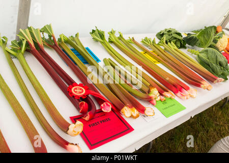 Prize winning fruit and vegetable display with silver trophy cup at ...