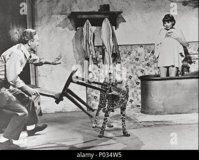 HATARI HATARI Year: 1962 USA Elsa Martinelli Director: Howard Hawks ...