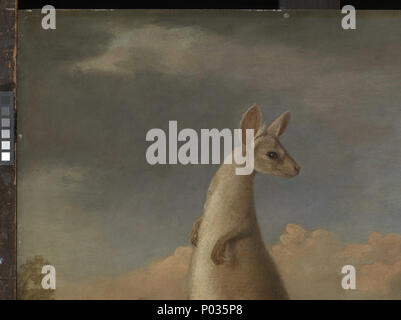 . English: 'The Kongouro from New Holland' (Kangaroo) ‘Kangaroo’ and ...