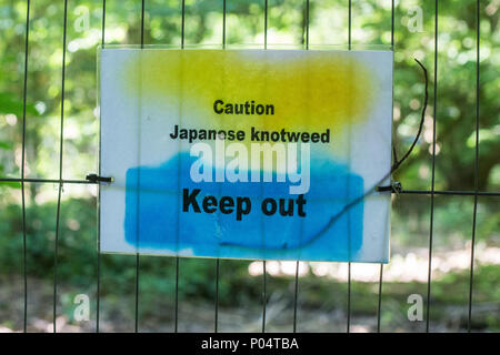 Caution Japanese Knotweed sign Stock Photo - Alamy