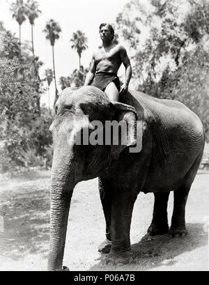 Original Film Title: TARZAN'S SAVAGE FURY. English Title: TARZAN'S ...