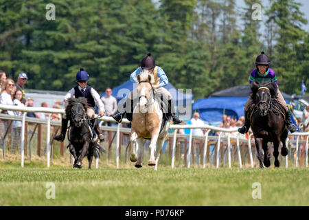 HAWICK, SCOTLAND. June 09: Hawick Common Riding - Flapping Young ...