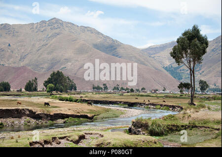 A journey on Peru Rail Stock Photo - Alamy