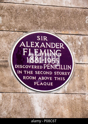 imperial college and alexander fleming plaque building St Marys ...