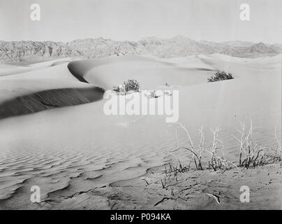 Original Film Title: THE LIVING DESERT. English Title: THE LIVING ...