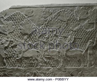 Mesopotamia. Campaign of King Ashurbanipal. Warrior. Detail. Relief ...