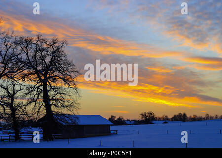 Sunset in winter over snowfield with barn Stock Photo - Alamy