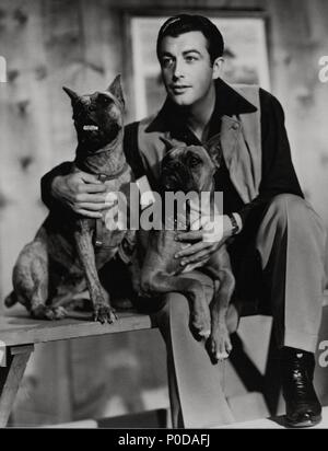 Stars: ROBERT (SCHAUSPIELER) TAYLOR Stock Photo - Alamy