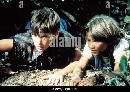 THE CLIENT, Brad Renfro, 1994. © Warner Bros. / courtesy Everett ...