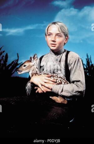 Original Film Title: THE YEARLING. English Title: THE YEARLING. Film ...