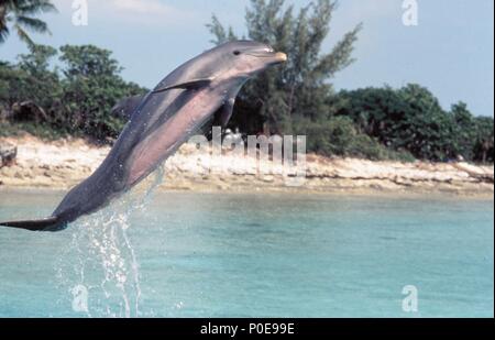 FLIPPER / USA 1996 / Alan Shapiro JESSICA WESSON als Kim, in 'Flipper ...