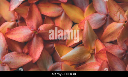 stack of geometric shape of flower with soft color Stock Photo - Alamy