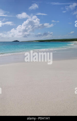 Sandy beach at Gardner Bay on Espanola Island, Galapagos National park ...