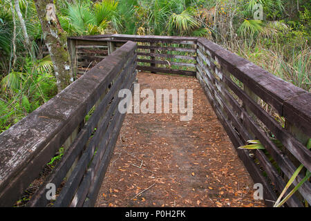 Hungryland Trail boardwalk, J.W. Corbett Wildlife Management Area ...