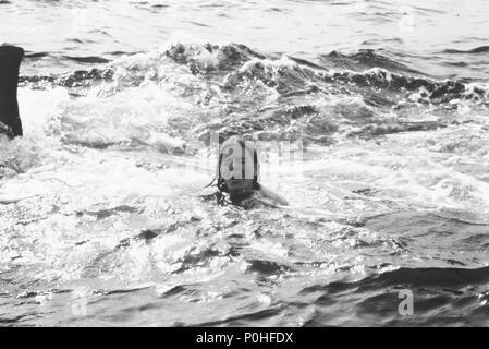 JAWS 2 1978 Universal Pictures film with Gary Dubin and Ann Dusenberry Stock Photo - Alamy