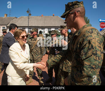 Marines from the 4th Light Armored Reconnaissance (LAR) Battalion ...