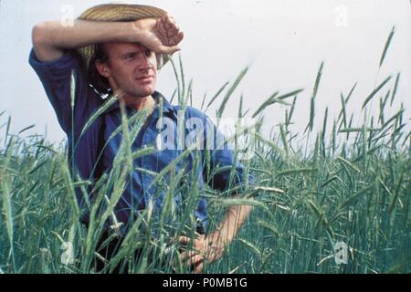 Original Film Title: WITNESS. English Title: WITNESS. Film Director ...