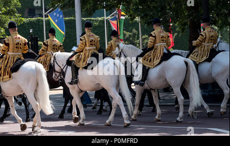 Mounted band of the Household Cavalry at Trooping the Color Mercury the ...