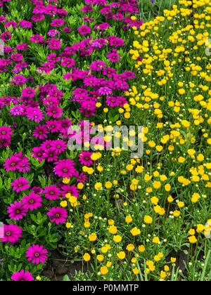 Yangzhou, Jiangsu, China. Flower Garden in the Slender West Lake Park ...