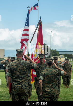 Col. Maura Hennigan, commanding officer of Combat Logistics Regiment 3 ...