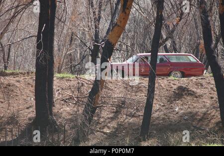 Original Film Title: MONSTER MAN. English Title: MONSTER MAN. Film ...