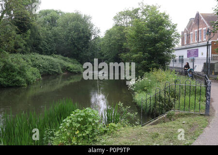 The River Stour (Great Stour), section near Abbots Mill Garden in ...