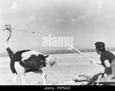 Original Film Title: HATARI!. English Title: HATARI!. Film Director ...