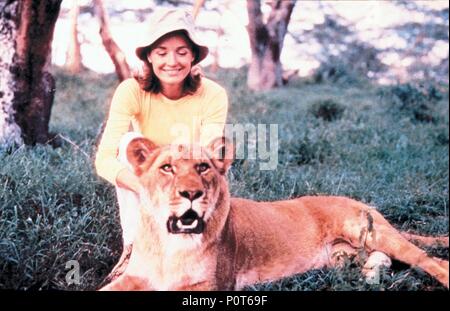 BORN FREE 1966 Columbia film with Virginia McKenna Stock Photo - Alamy
