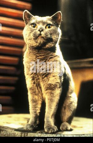 STUART LITTLE, cat, 1999. © Columbia Pictures / courtesy Everett ...