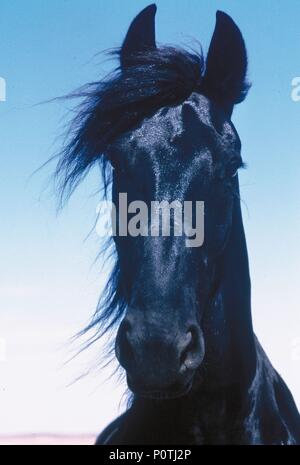 Original Film Title: RUNNING FREE. English Title: RUNNING FREE. Film ...