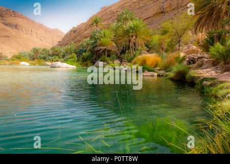 oasis oman water heaven paradise rock palms refresh idyll arabia ...
