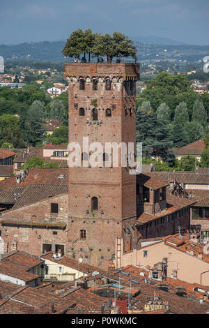 medieval Torre Guinigi tower with trees on its top, Lucca, Tuscany ...