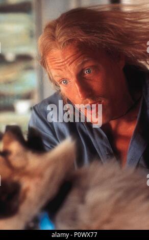 Original Film Title: SCORCHED. English Title: SCORCHED. Film Director ...