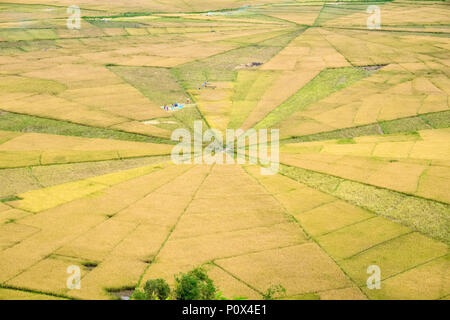 Spider web rice fields ('lingko') in Cancar Village, near Ruteng ...