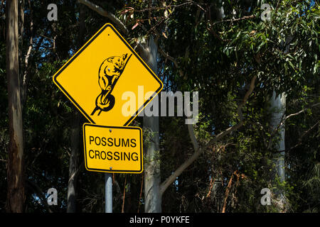 Balmain suburb of sydney new south wales Australia Stock Photo - Alamy